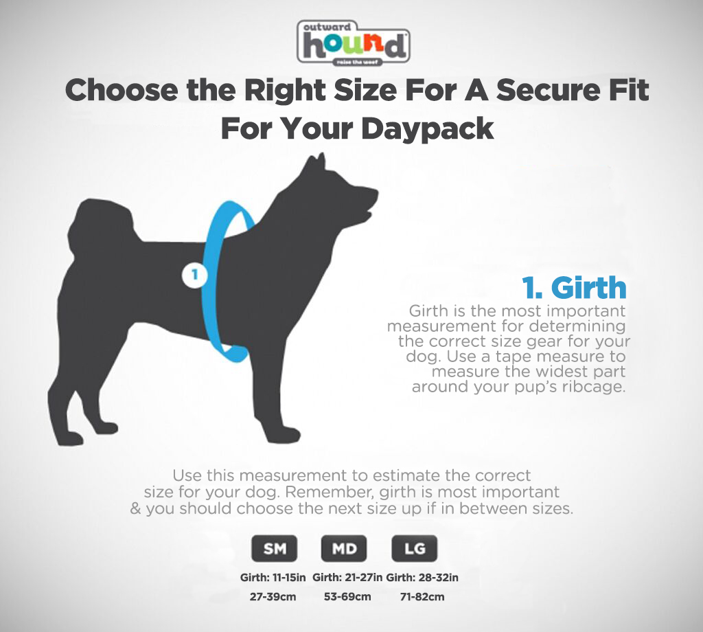 Is a Backpack for Dogs Necessary? Put Your Pup to Work!