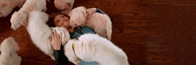 23 Signs You're Slightly (or Completely) Obsessed With Dogs – Furtropolis