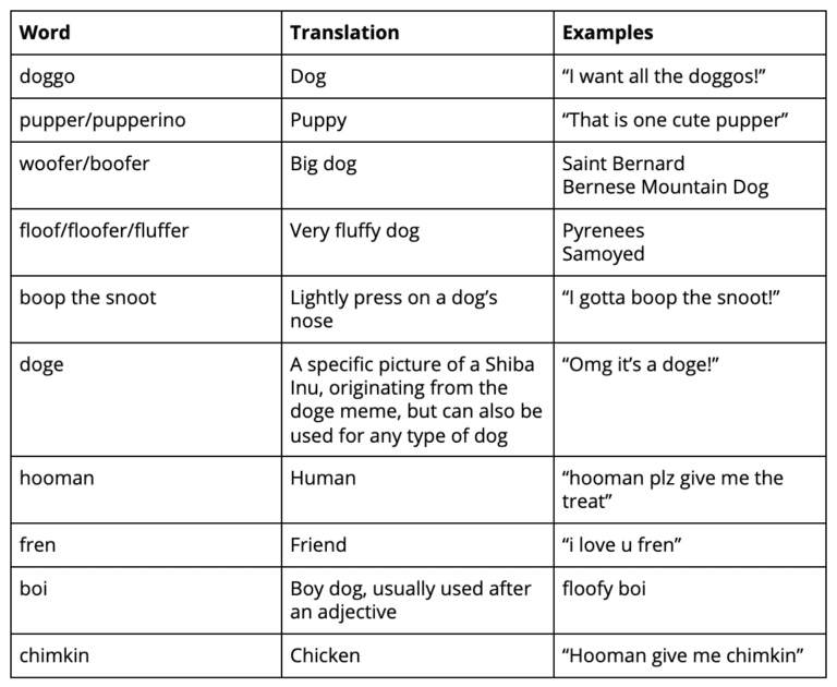 Doggolingo: A Guide to the Internet's Favorite Language