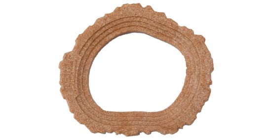 The Best Chew Bones for Dogs and Their Dental Health