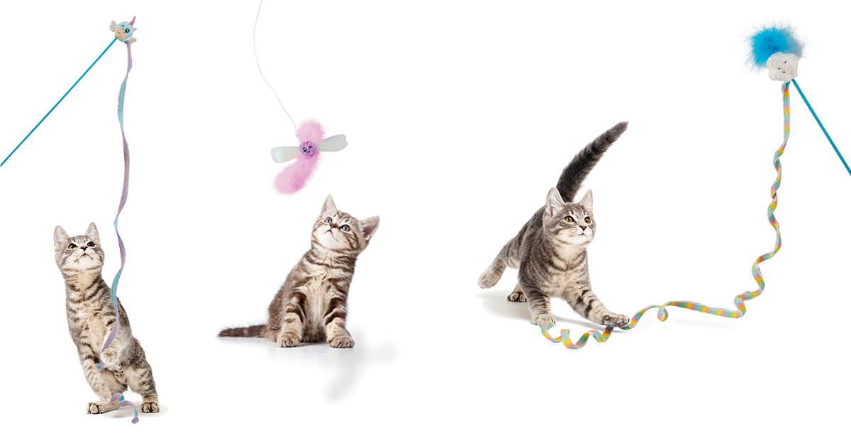 Award-Winning Interactive Cat Toys for Playing at Home – Furtropolis