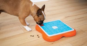The Ultimate Guide To Nina Ottosson Dog Puzzles – Furtropolis