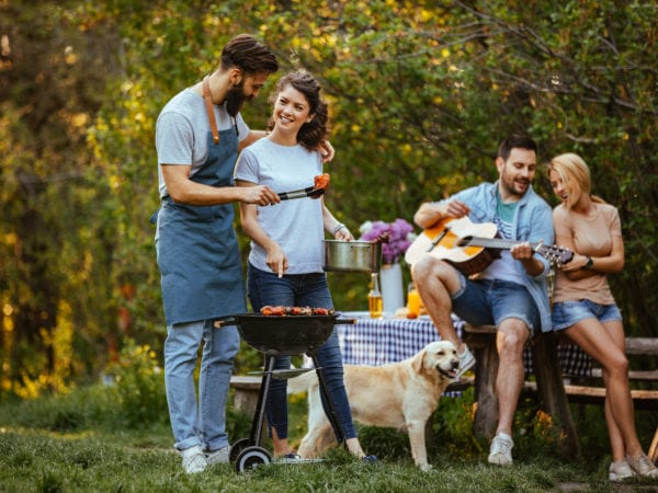 5 BEST DOG GAMES | Furtropolis