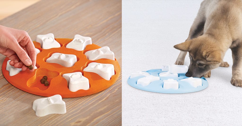 The Ultimate Guide To Nina Ottosson Dog Puzzles – Furtropolis