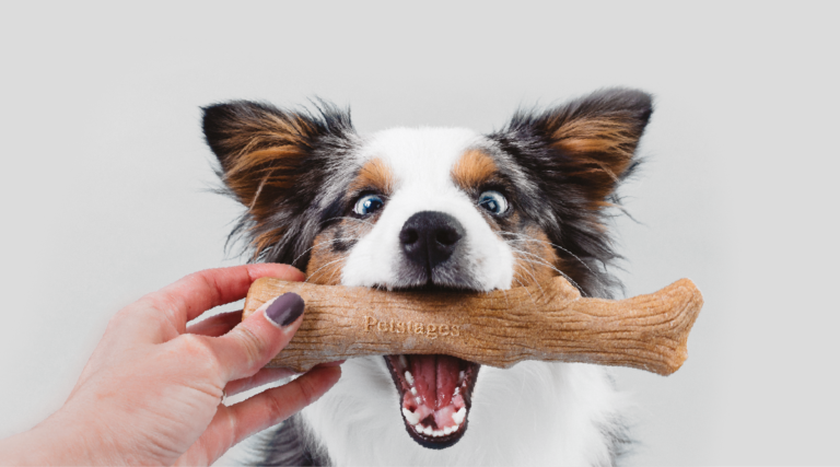 The Best Fetch Dog Toys for Indoor AND Outdoor Play – Furtropolis