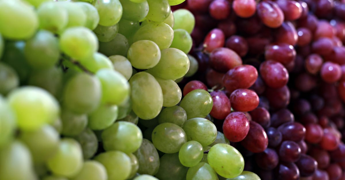My Dog Ate Grapes But Seems Fine. What Should I Do? – Furtropolis