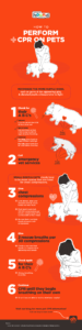 Pet Safety Skills: How to Perform CPR on a Dog or Cat – Furtropolis