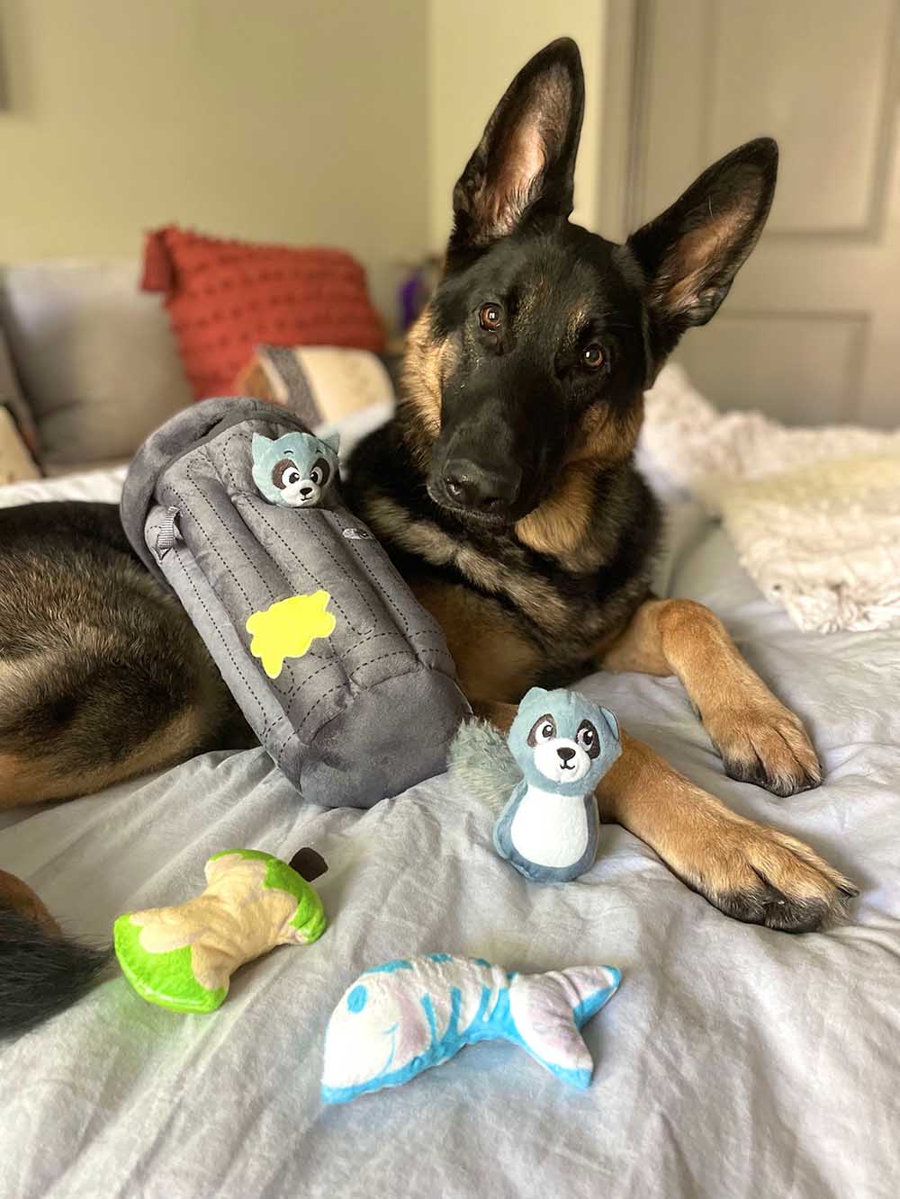 7 of the Best Toys for Big Dogs – Furtropolis