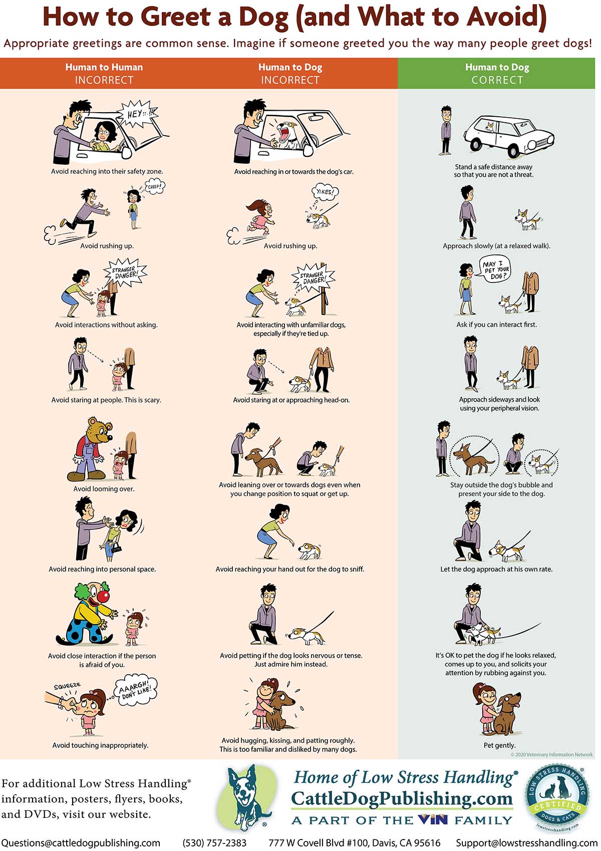 Avoid Dog Bites: How to Approach a Dog Do's & Don'ts